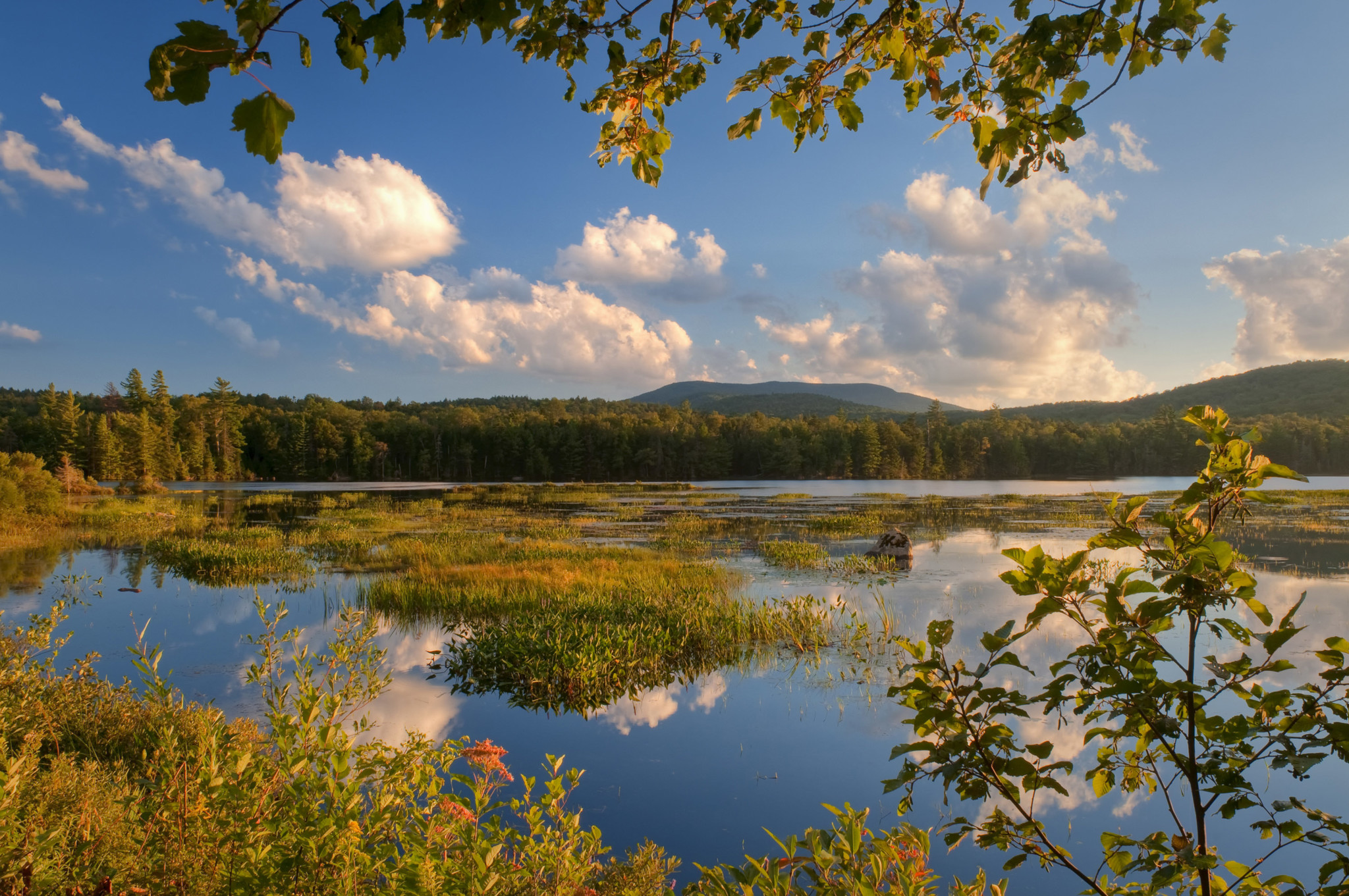 What is the Forest Preserve? | Adirondack Mountain Club