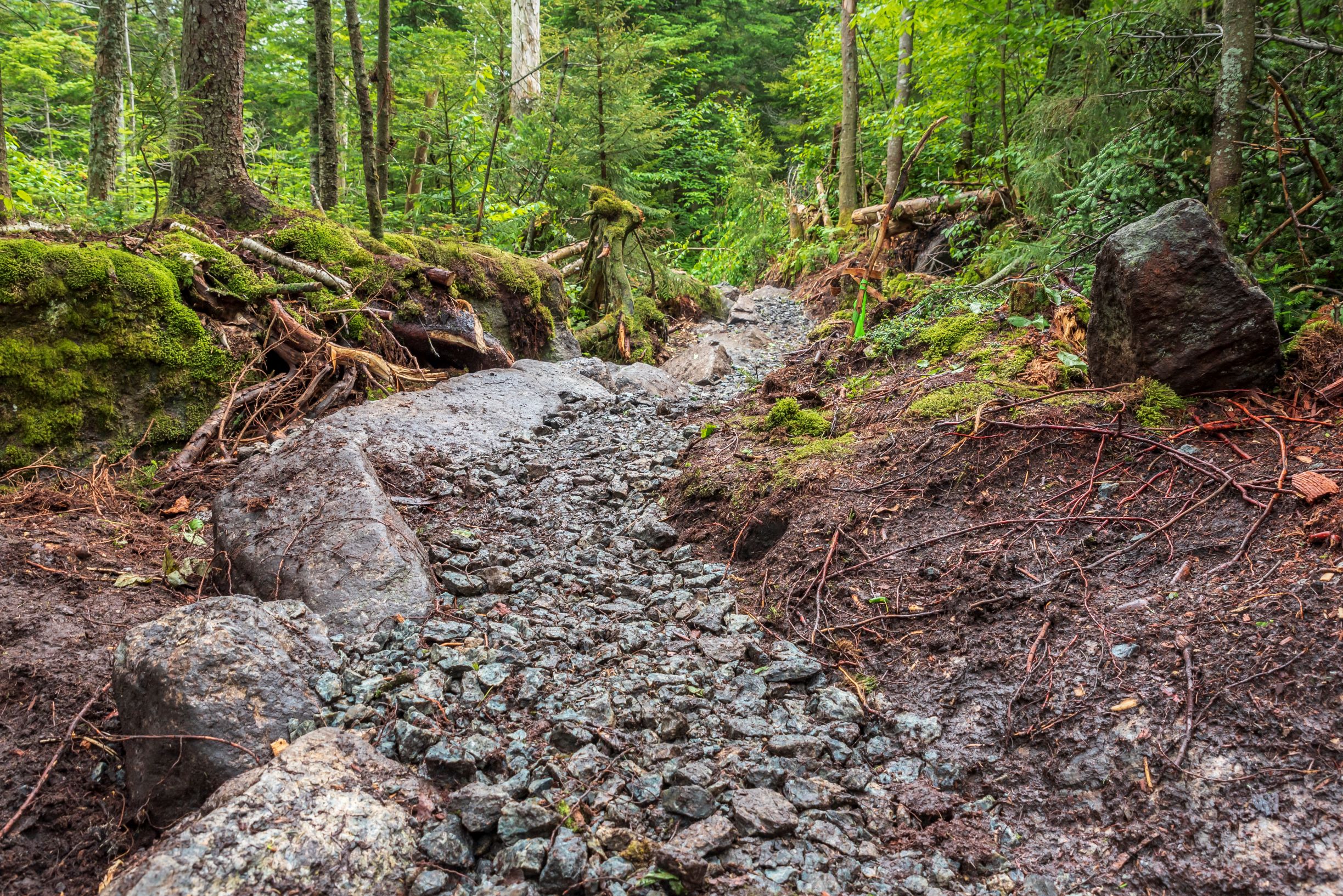 What is a Sustainable Trail? | Adirondack Mountain Club