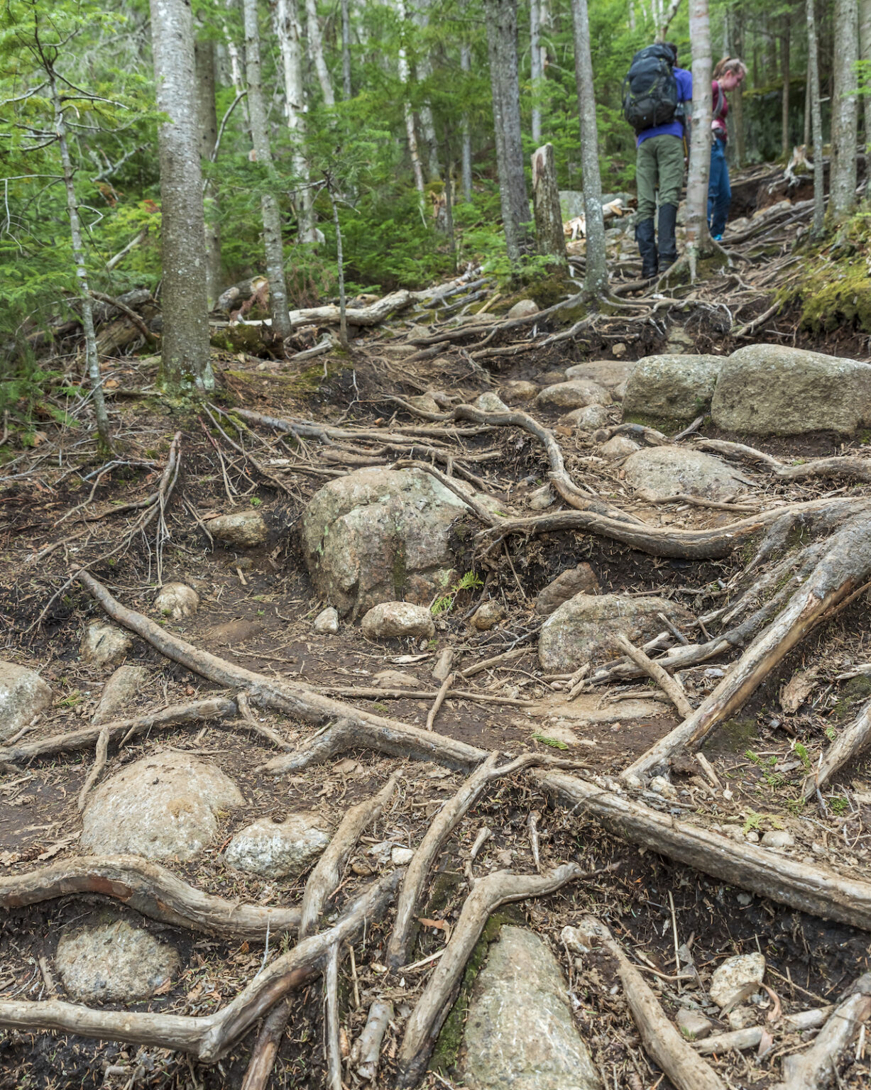 Summit Push: Completing the Mt. Jo Long Trail | Adirondack Mountain Club