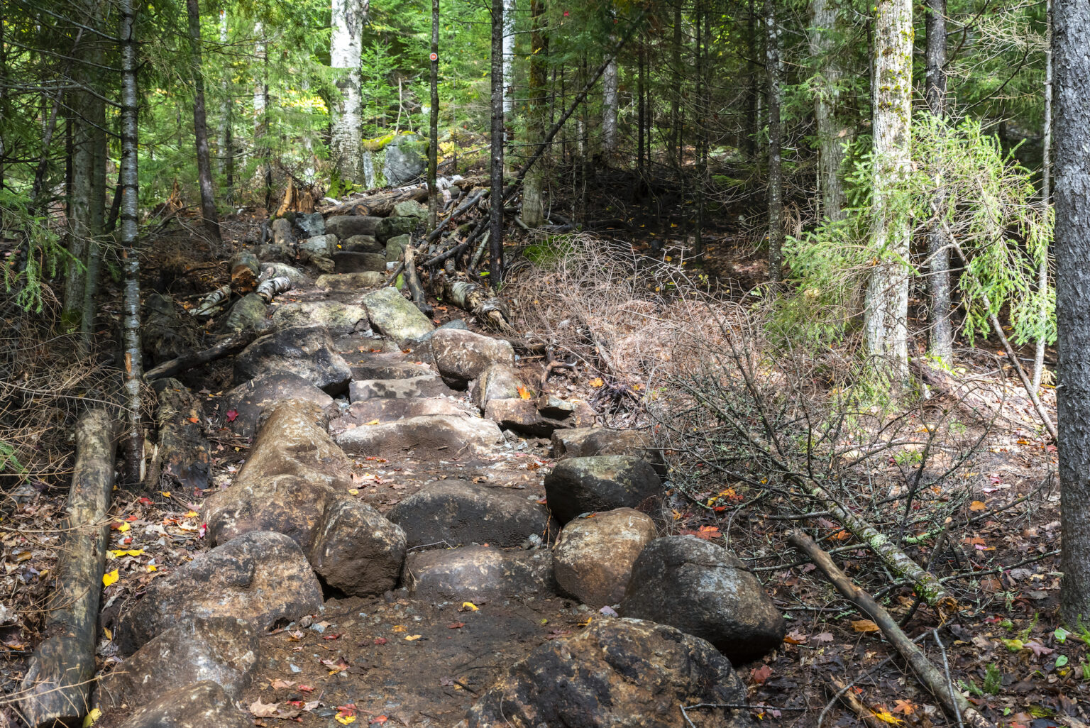 Summit Push: Completing the Mt. Jo Long Trail | Adirondack Mountain Club